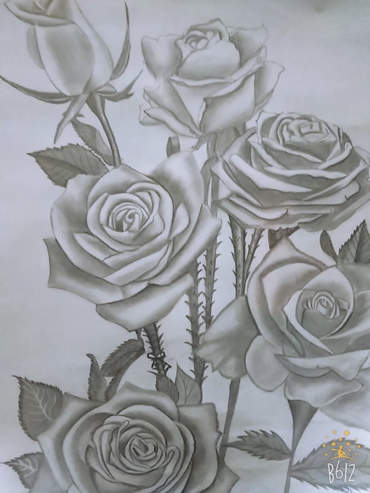 Ruchika Naidu (Art Work) – Beacon